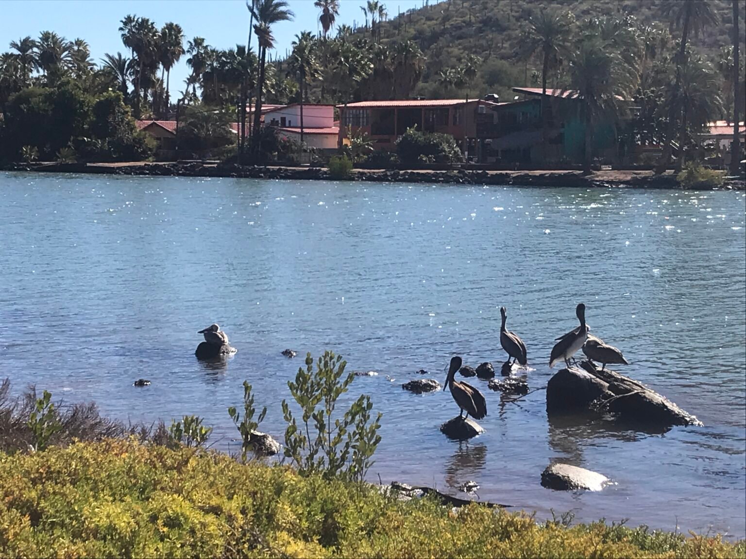 Photos – Anna Katherine Properties