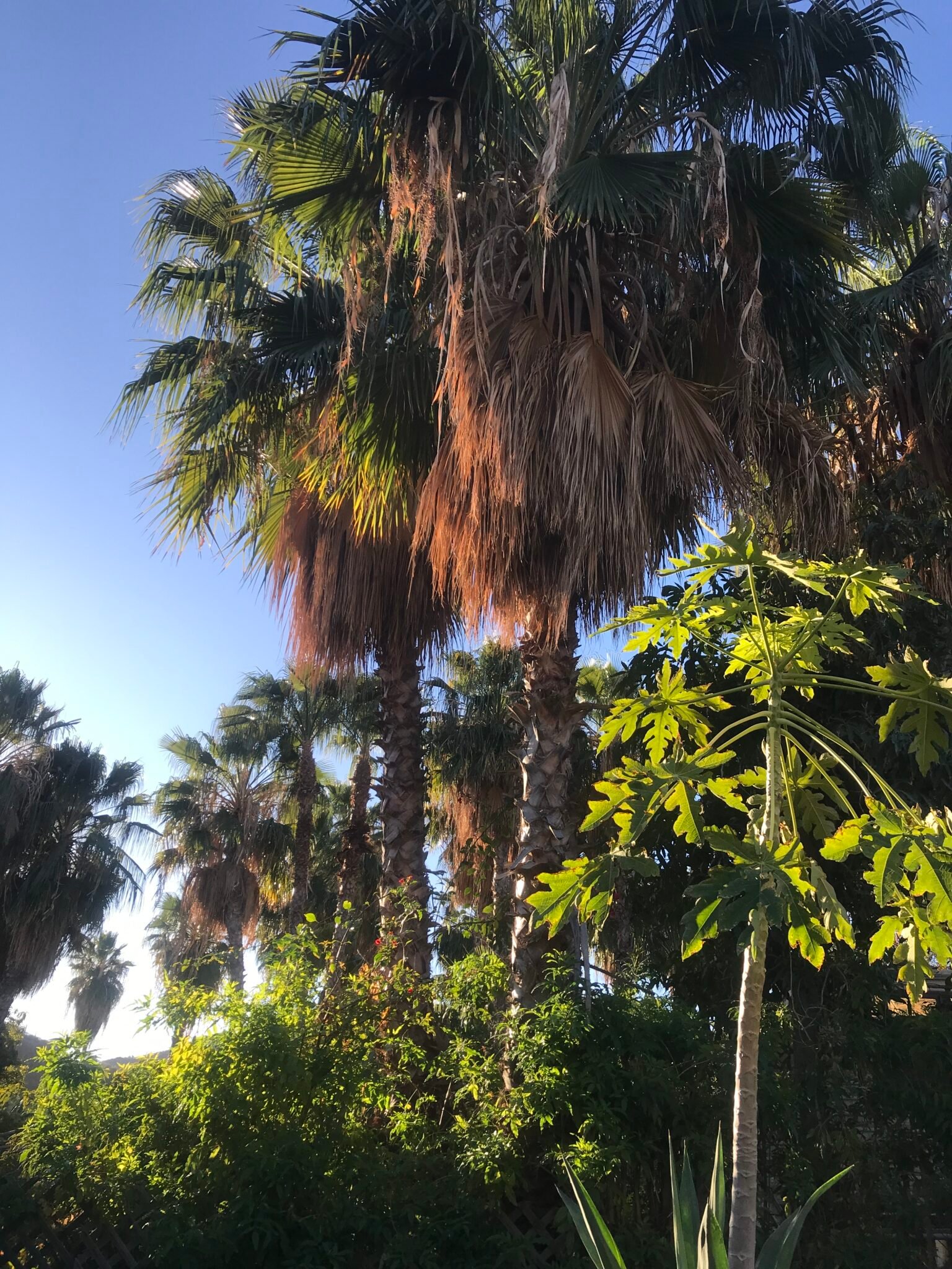 Photos – Anna Katherine Properties